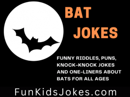 Bat Jokes - Clean Bat Jokes, Riddles & Puns for Kids & Adults