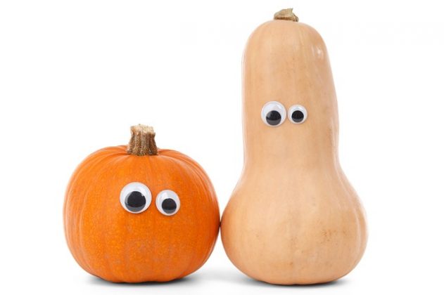 Gourd Jokes - Fun Kids Jokes