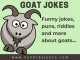 Goat Jokes - Clean Goat Jokes & Riddles for Kids & Adults