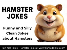 Hamster Jokes - Clean Hamster Jokes | Fun Kids Jokes
